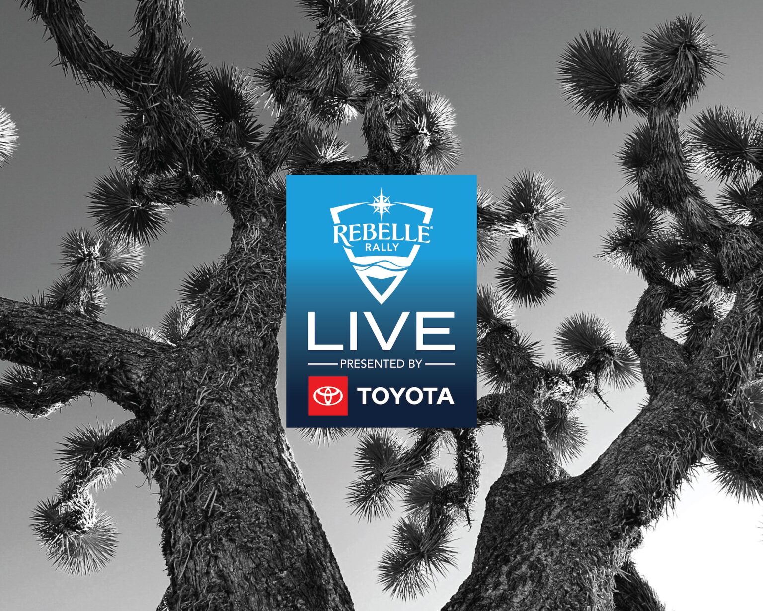 Follow the 2024 Rebelle Rally - Rebelle Rally